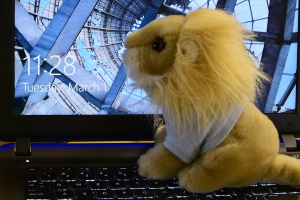 DataSalon are ready to ROR! | The DataSalon Blog